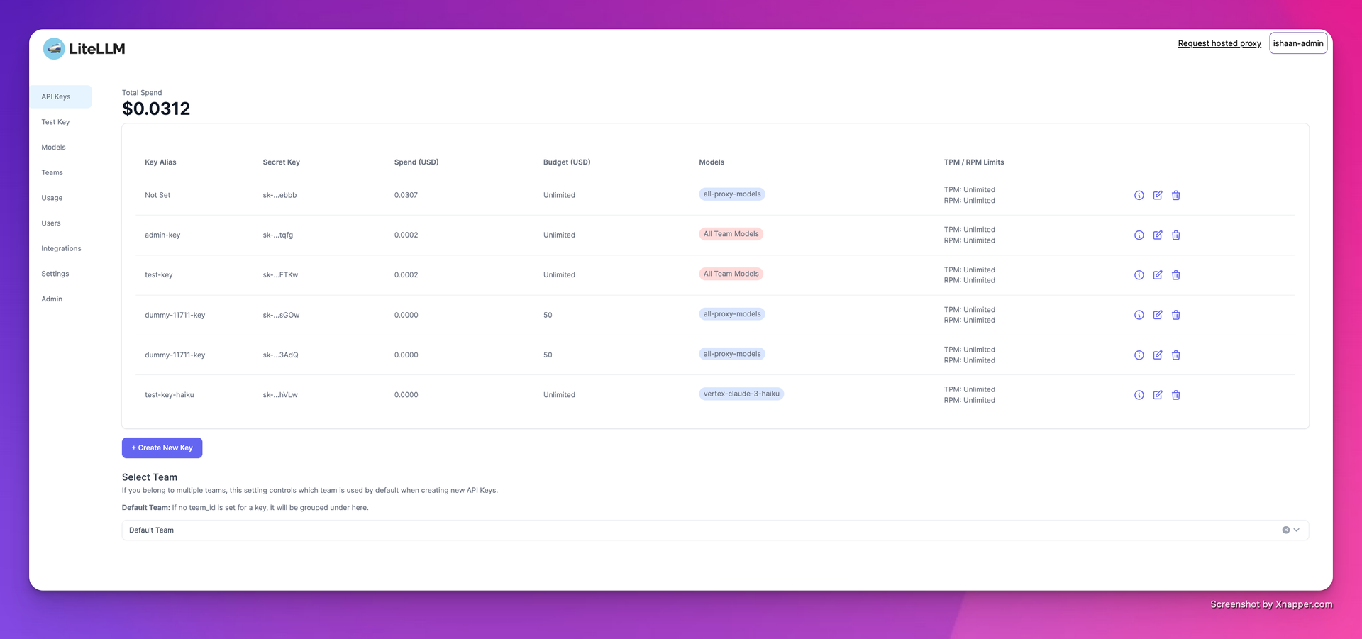 托管 LiteLLM 代理 | liteLLM 网关